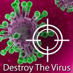 Destroy The Virus | pbs 2020