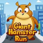 Play Giant Hamster Run game online on pbskidsgames.games